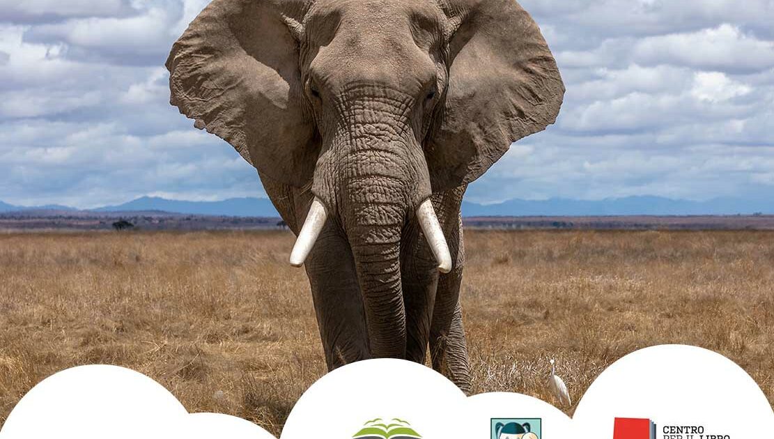 Tararì Tararera – Genialità e Divertimento - Occhi di Bimbo